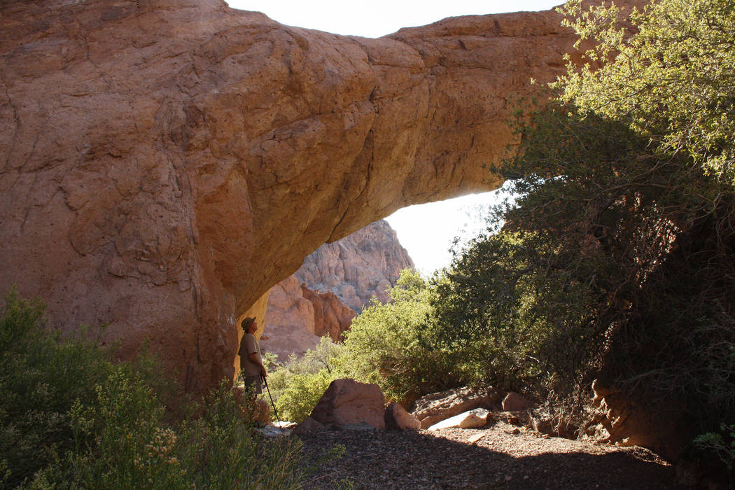 For a great winter hike, check out natural bridge | Deborah Wall ...