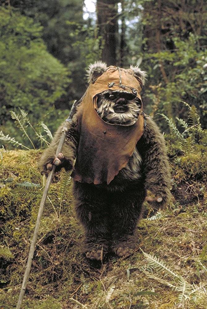 Warwick Davis Ewok