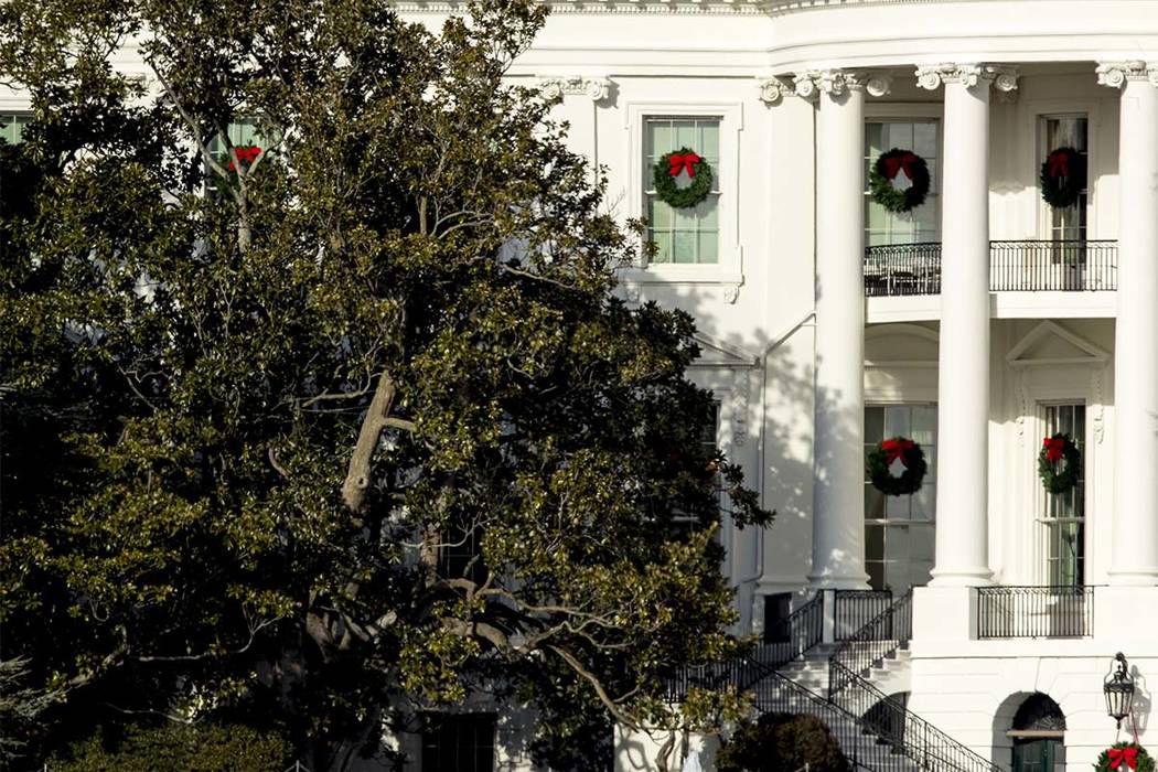Oldest tree on White House lawn to be cut down, removed | Nation and ...