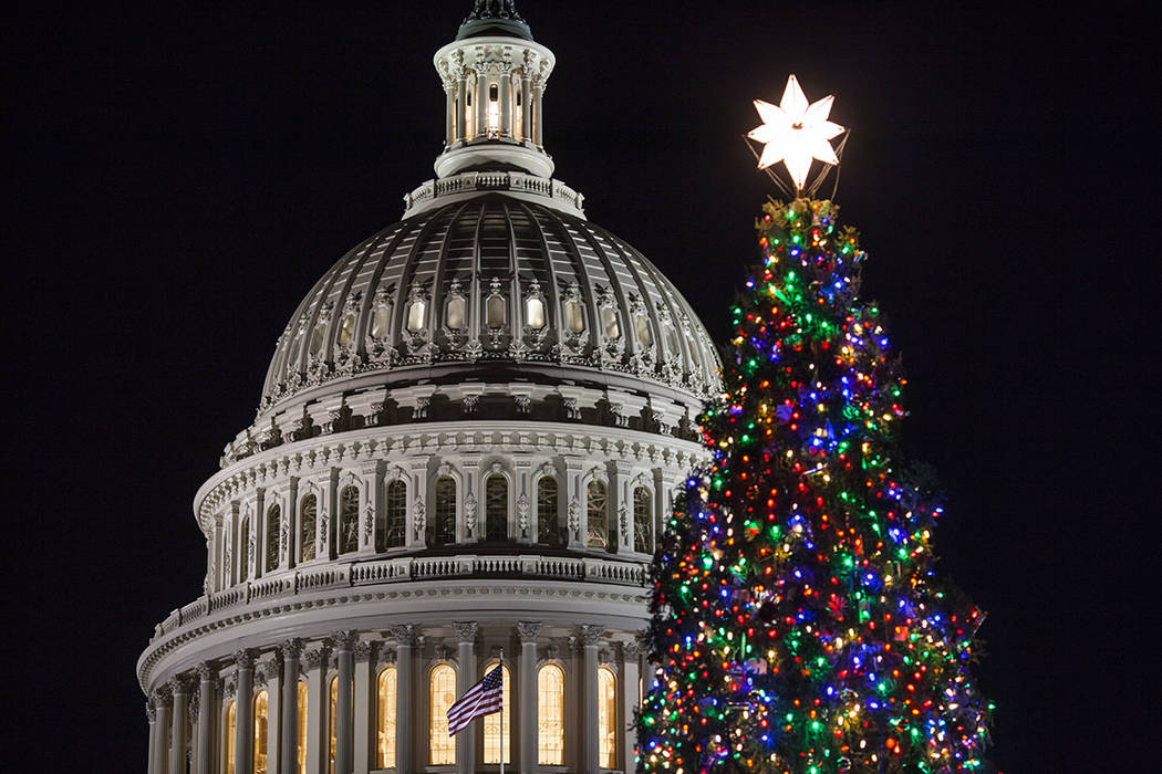 US Capitol Christmas Tree going to Glacier National Park | Nation and ...