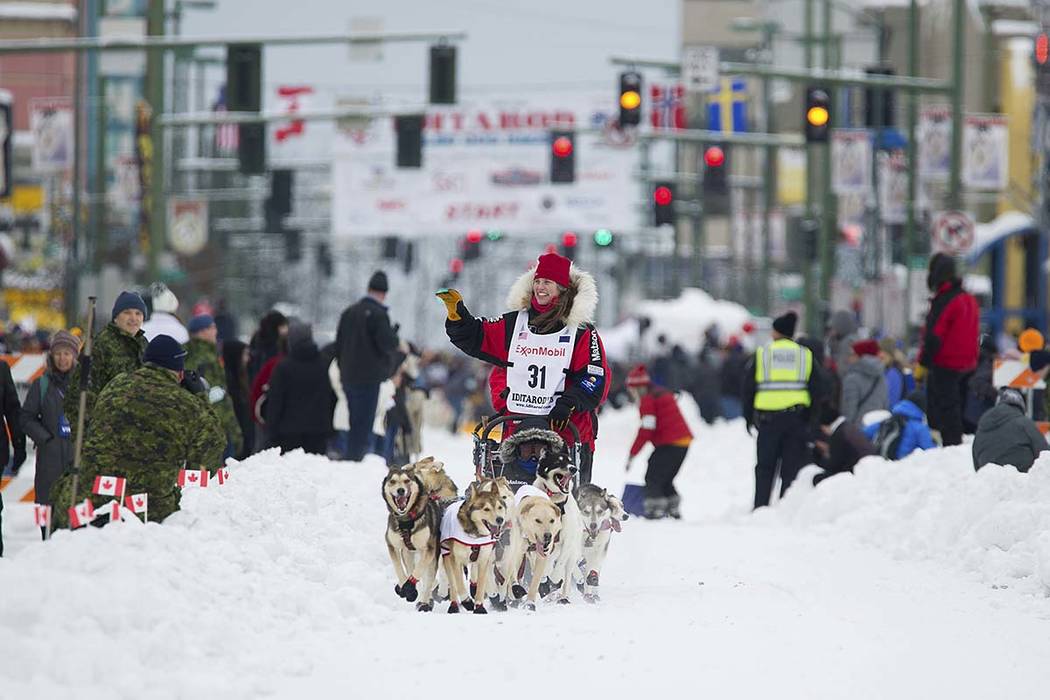 Iditarod mushers back at it after challenging year | Las Vegas Review ...