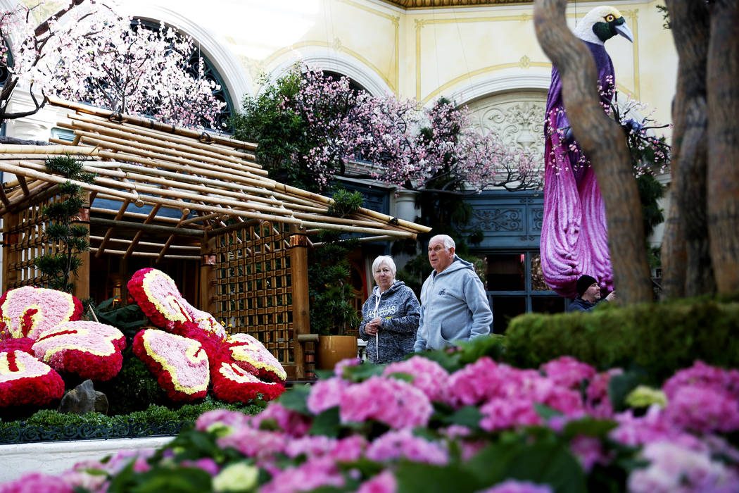 Bellagio Conservatory welcomes spring — PHOTOS | The Strip | Local