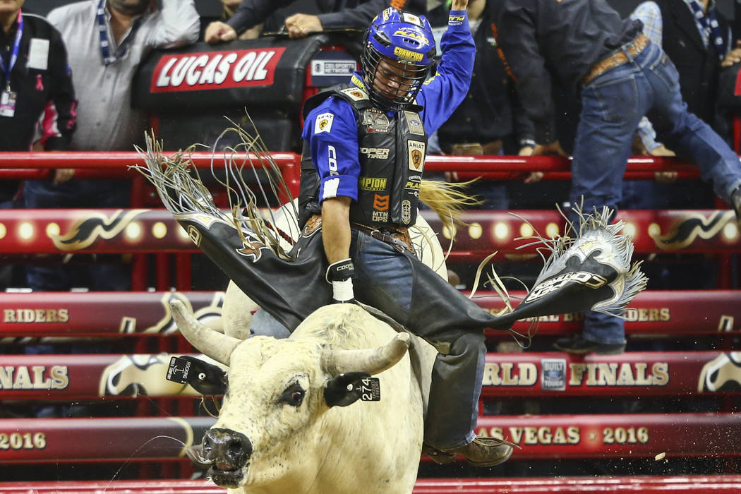Master, pupil and ‘Shorty:’ A day in the life of PBR bullfighters ...