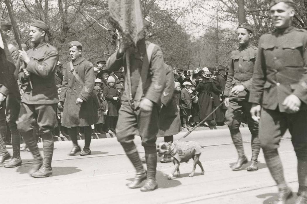 Monument honors courage, bravery of WWI war dog Sgt. Stubby | Las Vegas ...