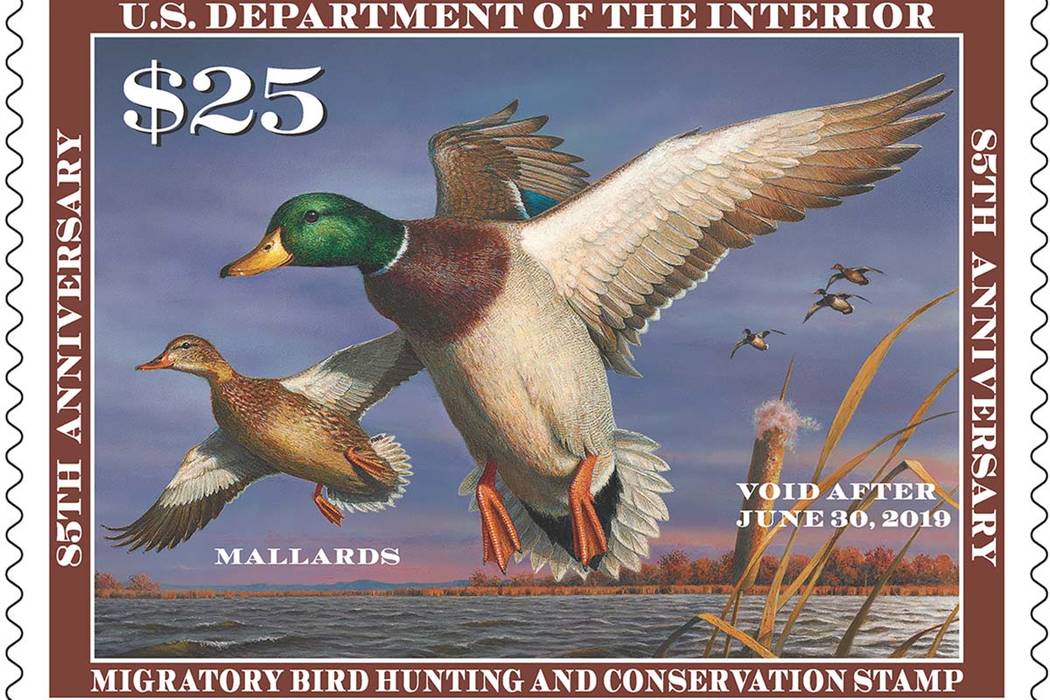 National duck stamp competition to land in Las Vegas | News
