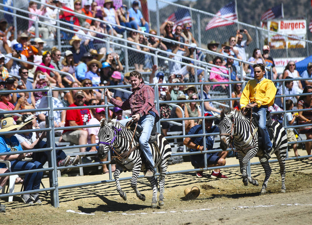 International camel, ostrich races draw crowds to Northern Nevada town ...