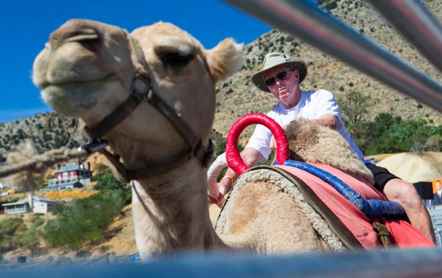 International camel, ostrich races draw crowds to Northern Nevada town ...