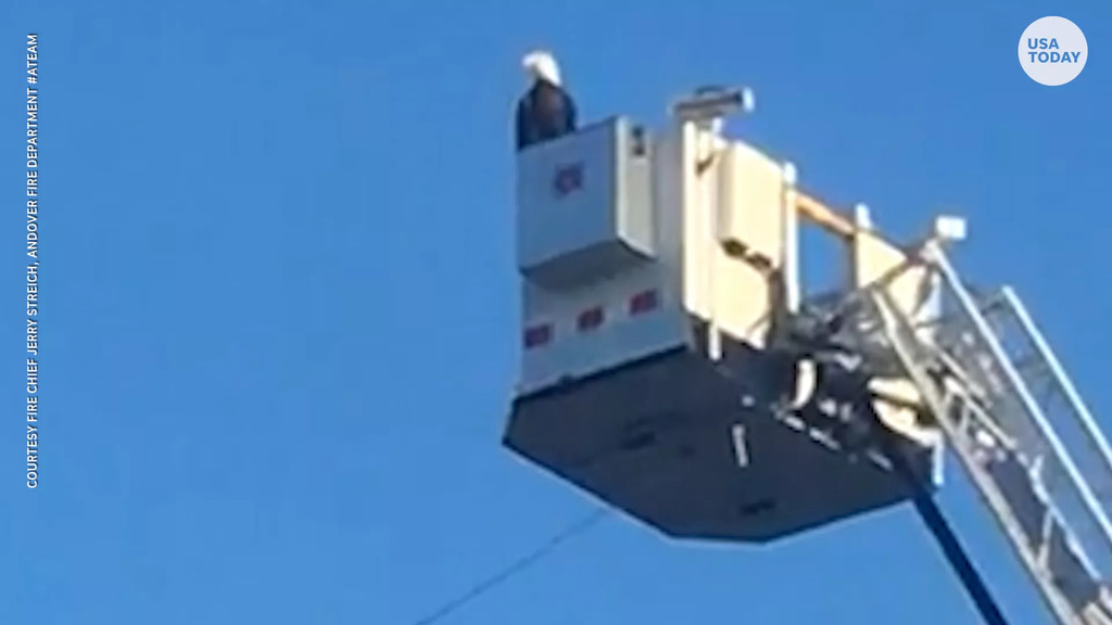 Bald eagle makes surprise appearance during Sept. 11 tribute | Nation ...