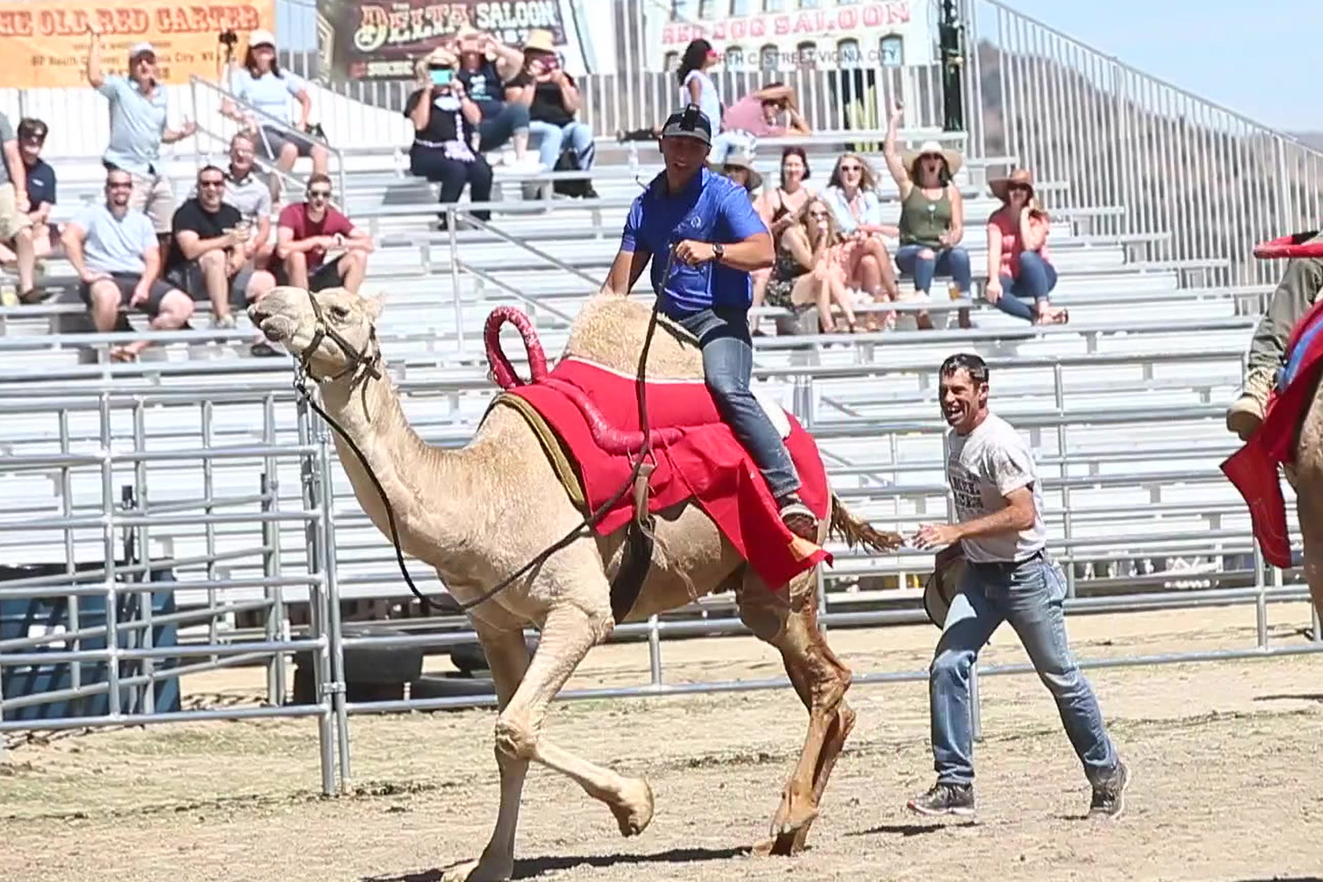 RJ reporter finds himself off to the camel races in Virginia City ...