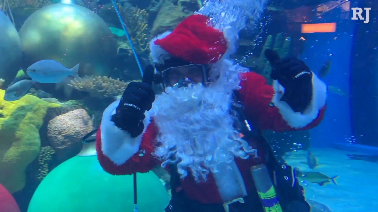 Take a dive into Underwater Santa at the Silverton in Las Vegas | Local ...