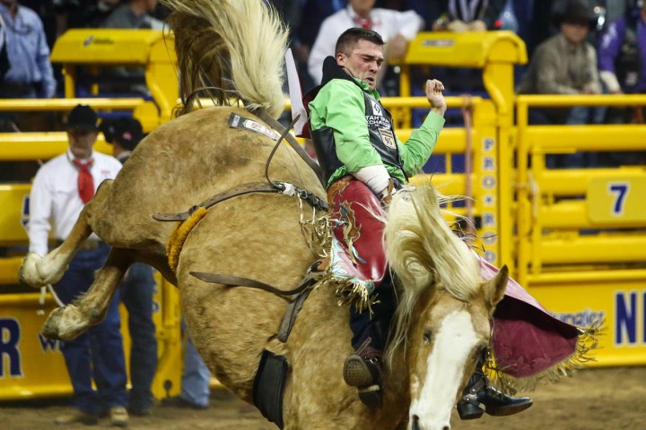 Team roping at NFR can turn rivals into teammates | Las Vegas Review ...