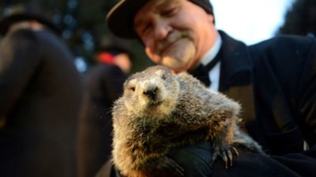 Groundhog sees no shadow, predicts early spring | Nation and World | News