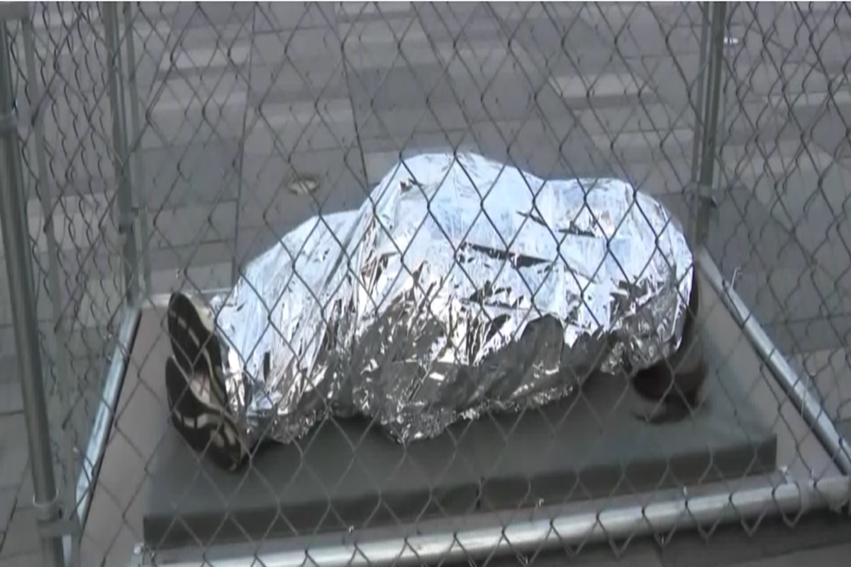 Art installations depicting children in cages pop up across New York ...