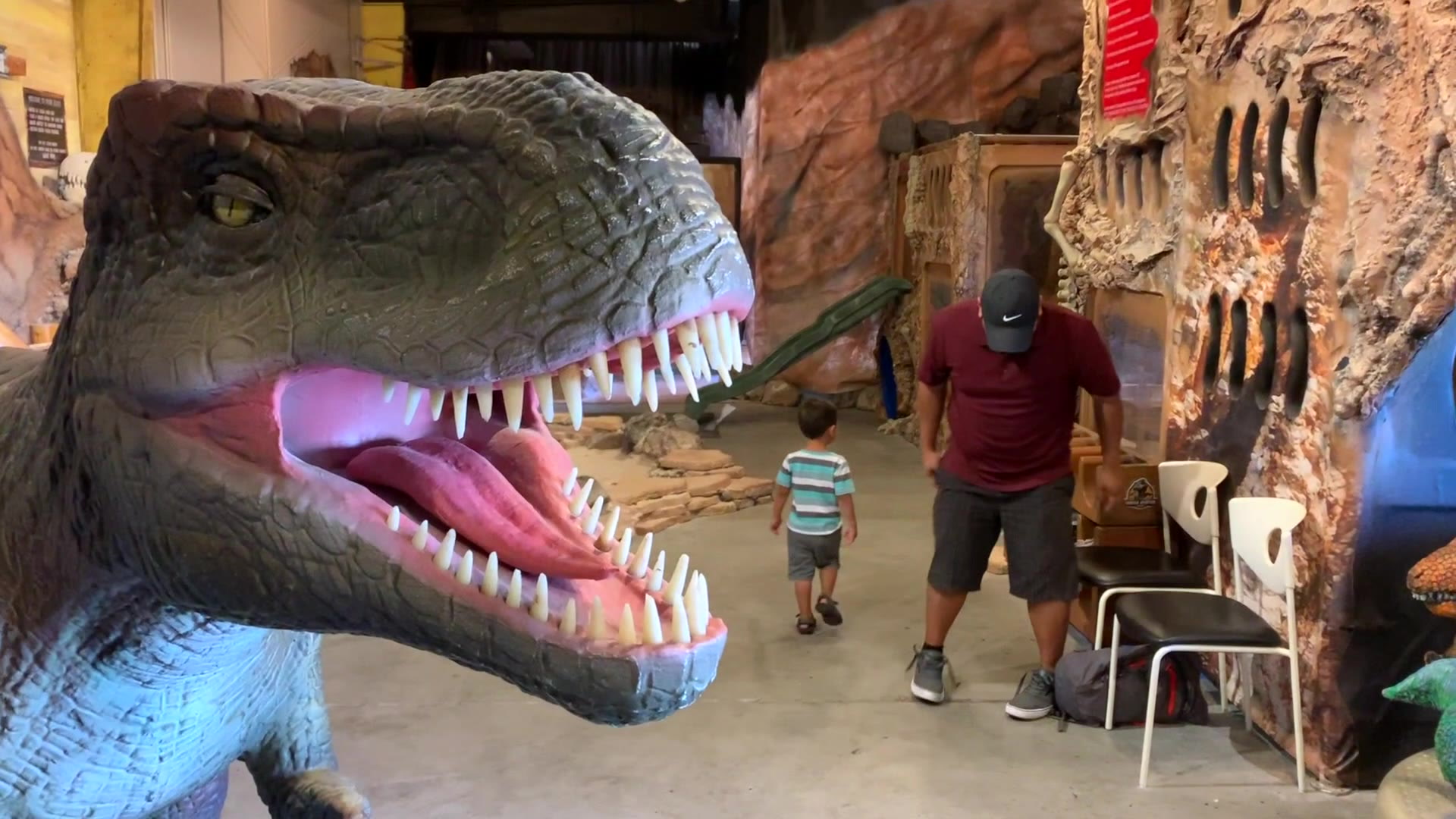 Get prehistoric with Tom Devlin’s Dinosaur Adventure — VIDEO | Local