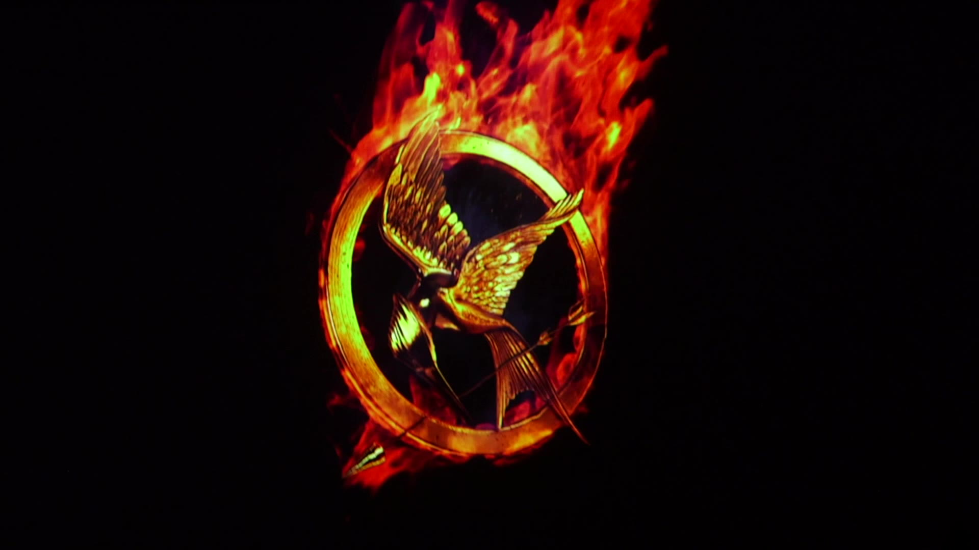 Mockingjay Pin On Fire Gif