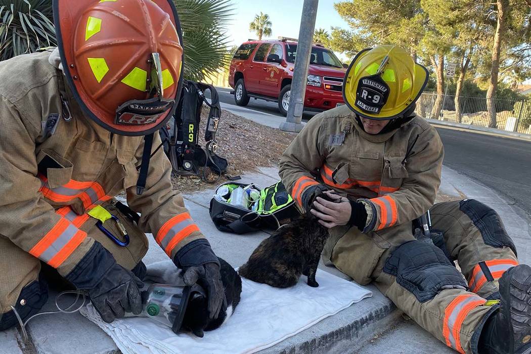 Firefighters rescue cats from fast-moving Las Vegas house fire — VIDEO ...