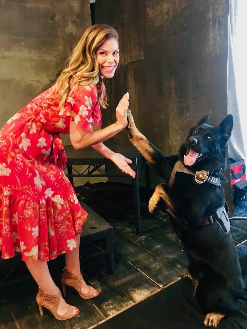 Las Vegas Jamie Little’s sports broadcast career going to the dogs ...