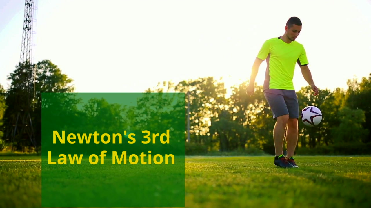 Phys. Ed. & Health: The science of soccer | Education | Local