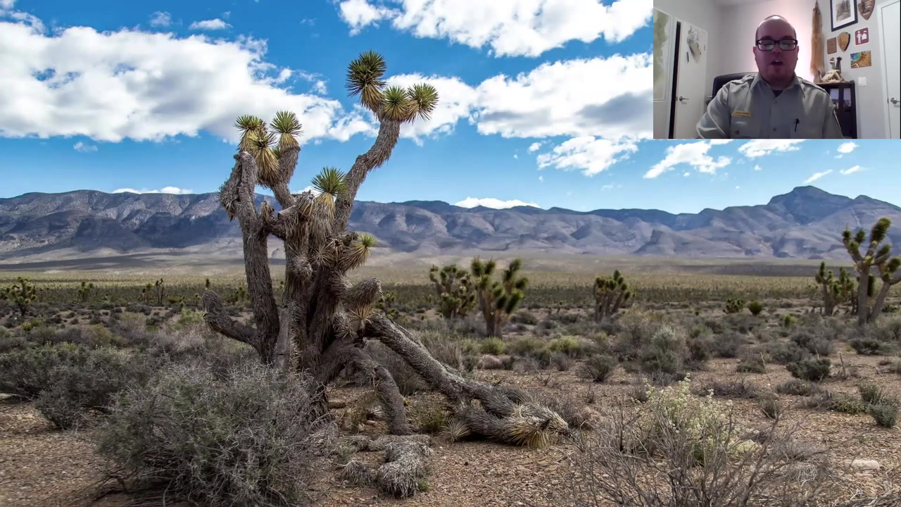 Science: Desert plants and wildlife | Education | Local