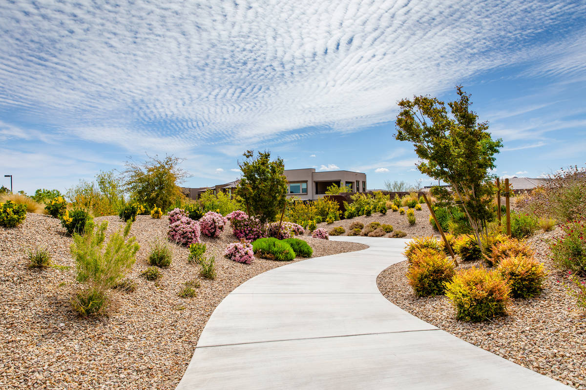 Summerlin celebrates National Trails Day | Provided Content | Homes