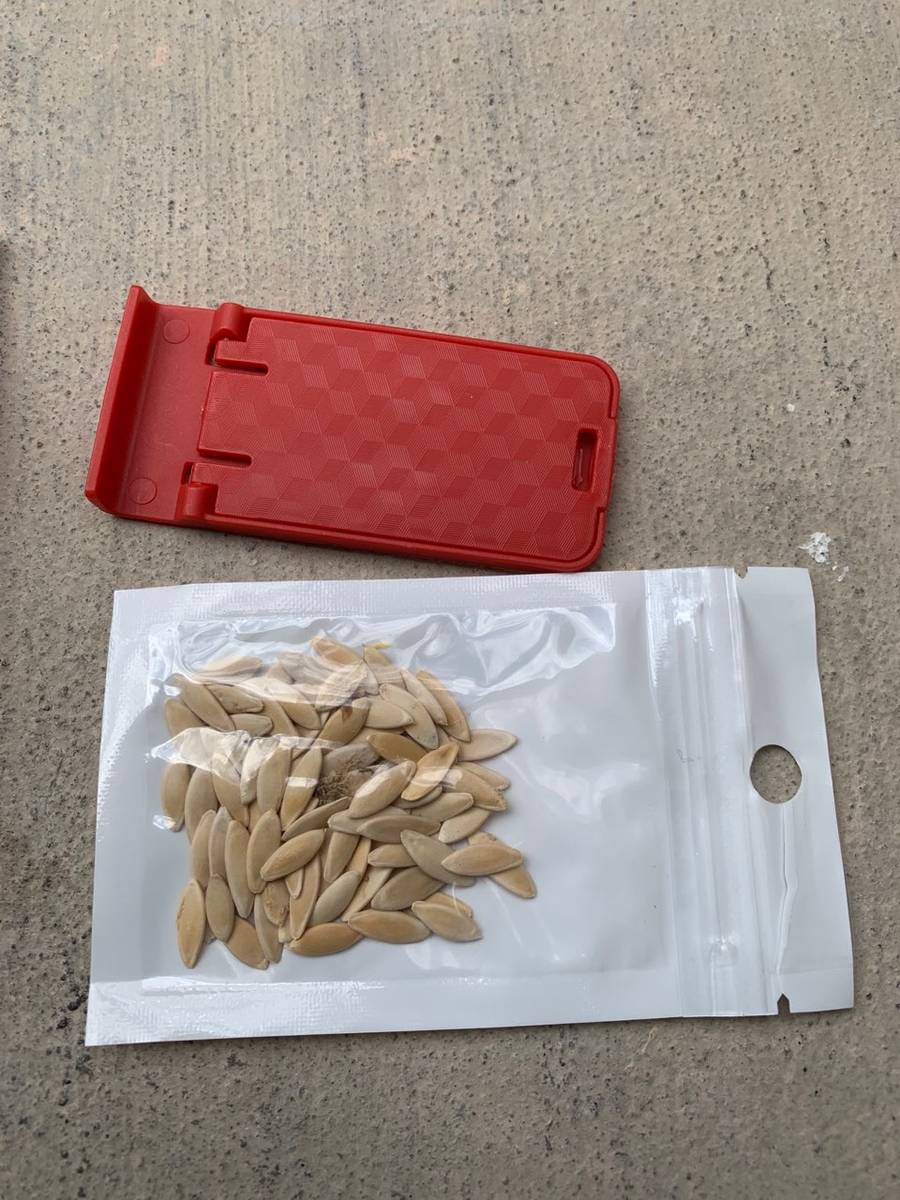 Mysterious seeds from China mailed to Las Vegas woman | Las Vegas ...