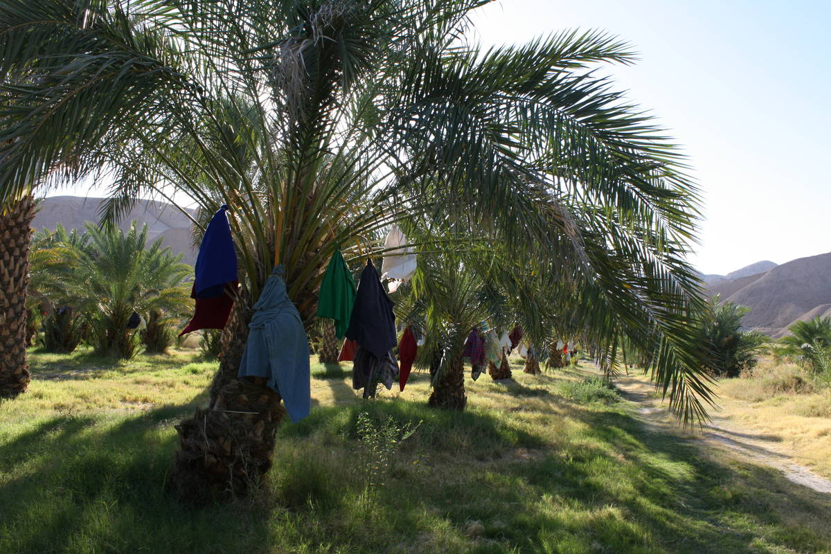 China Ranch Date Farm a great place for hiking, treats | Las Vegas ...