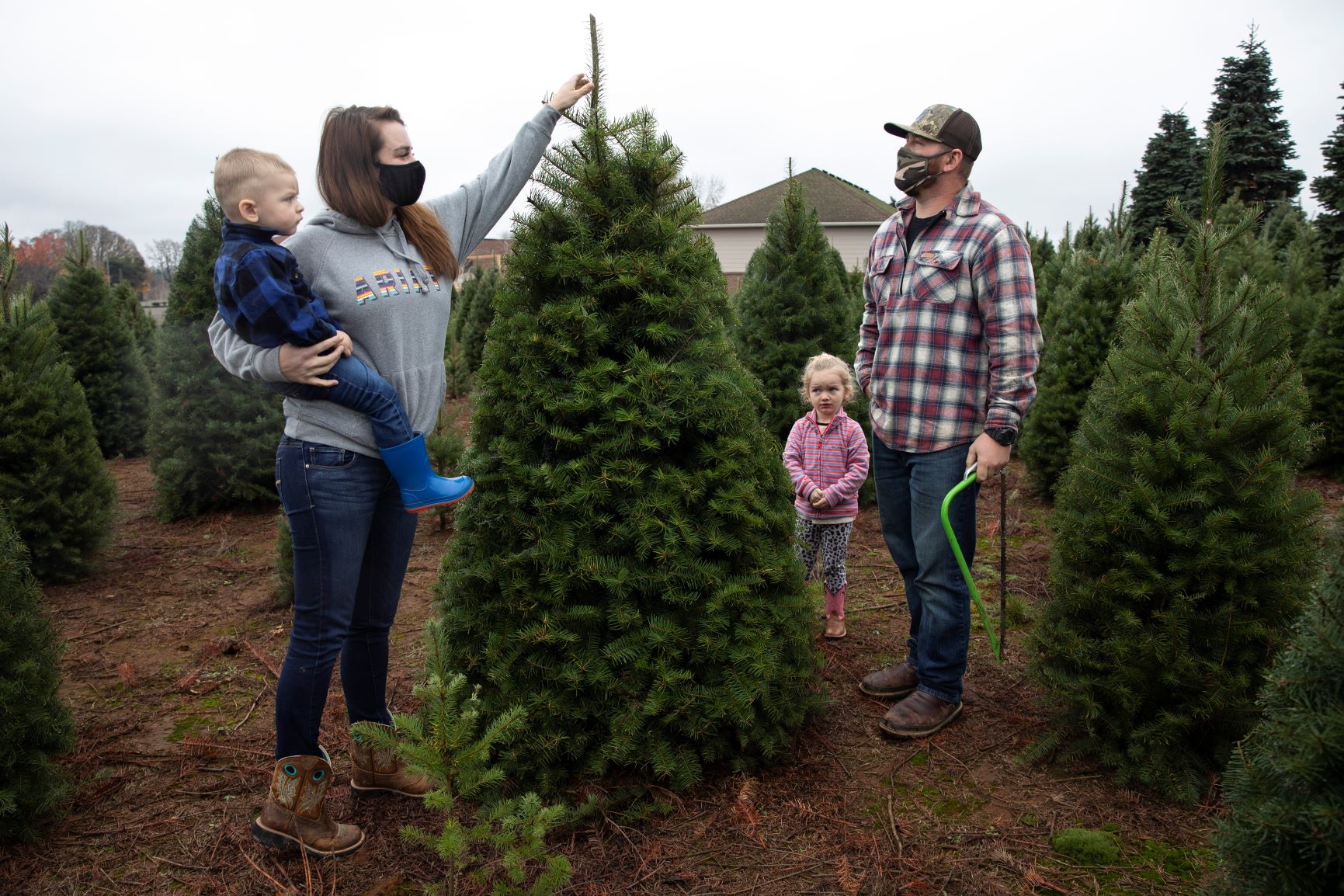 Real Christmas trees growing in popularity amid pandemic | Nation and ...