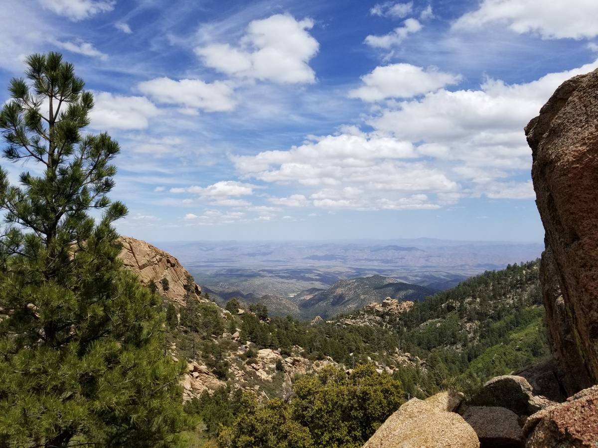 Get outside: Hualapai Mountain Park beckons | Natalie Burt | Local ...