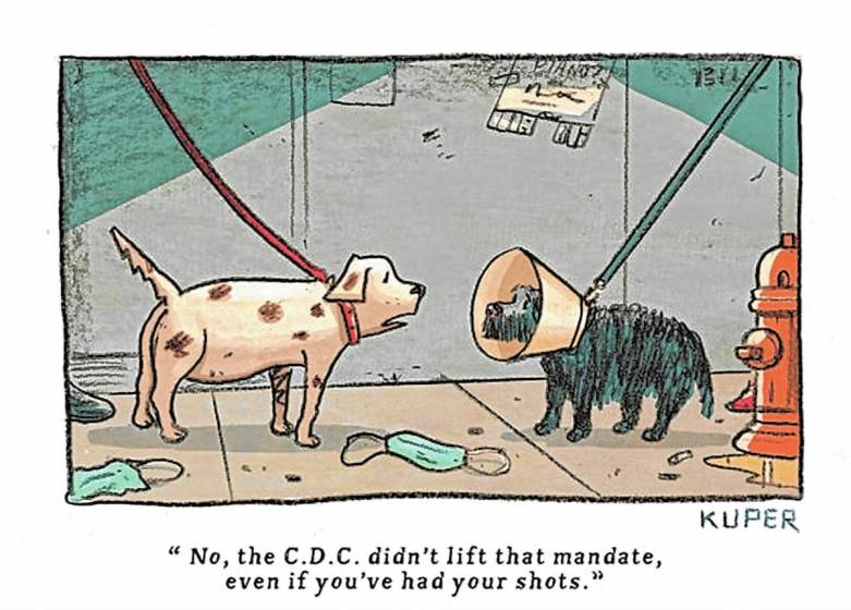 Celebrating end of pandemic | CARTOONS | Las Vegas Review-Journal