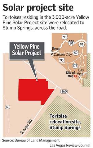 All In The Family: Maine Mother & Son Charged in Massive Drug Bust