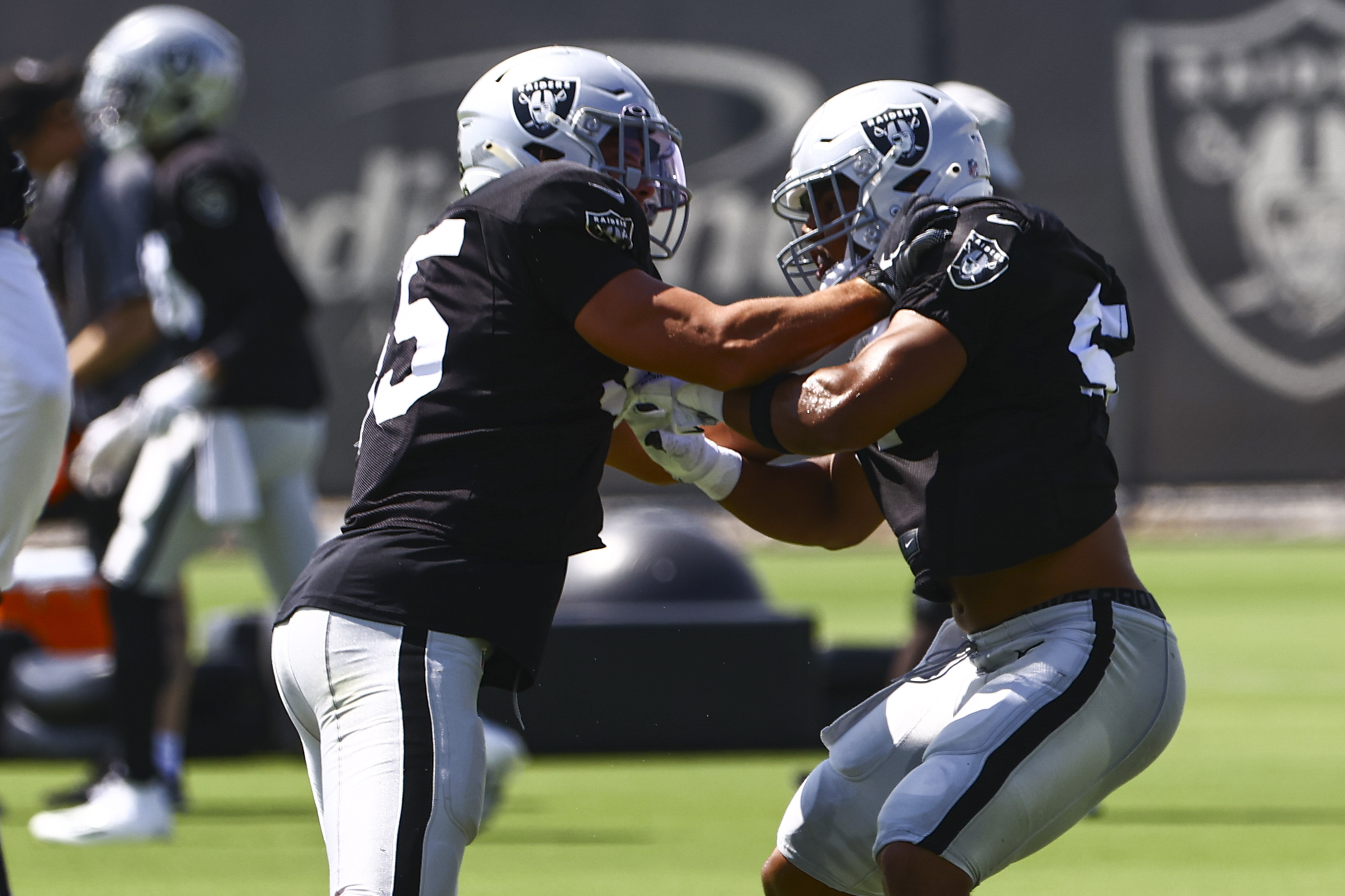 Raiders acquire LB Denzel Perryman from Panthers | Raiders News | Sports