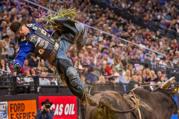 Nearly unrideable Bushwacker becomes three-time champion | Professional ...