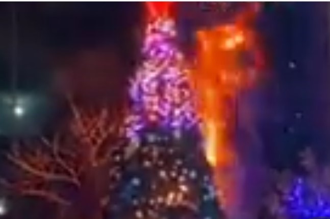 Fox News’ Christmas tree goes up in flames, man arrested | Nation and ...