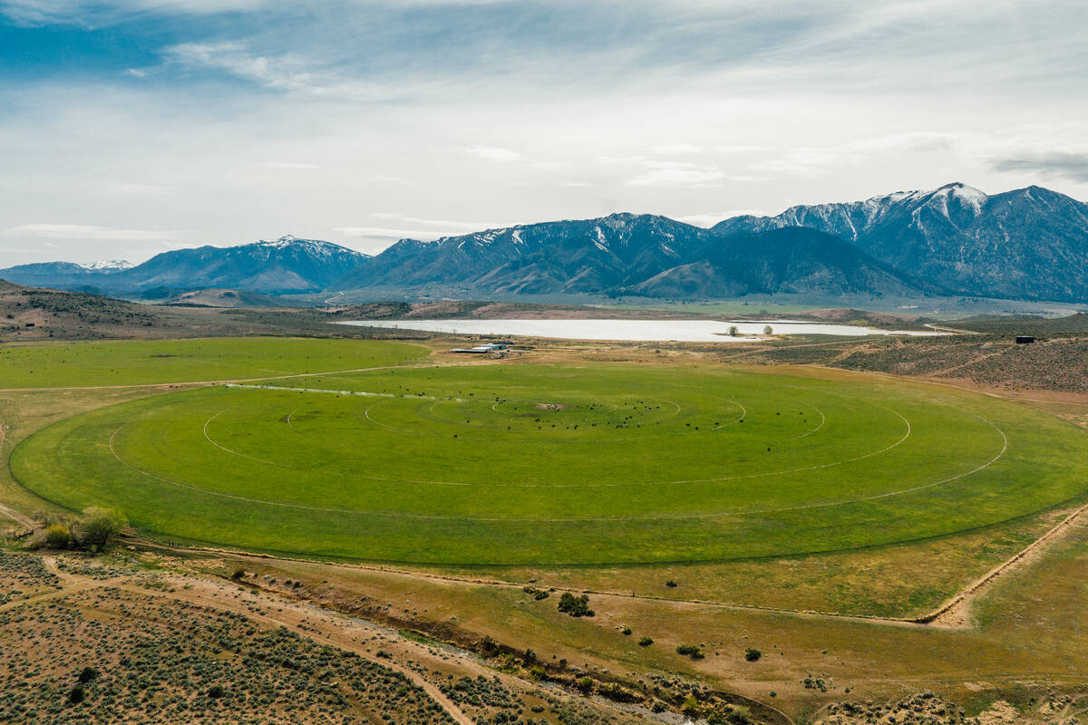 $100M ranch for sale in Nevada — PHOTOS | Local Nevada | Local