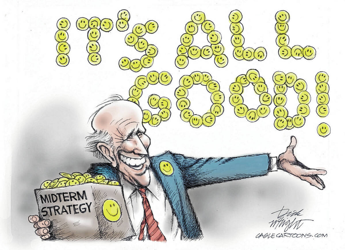 Political Campaign Cartoons