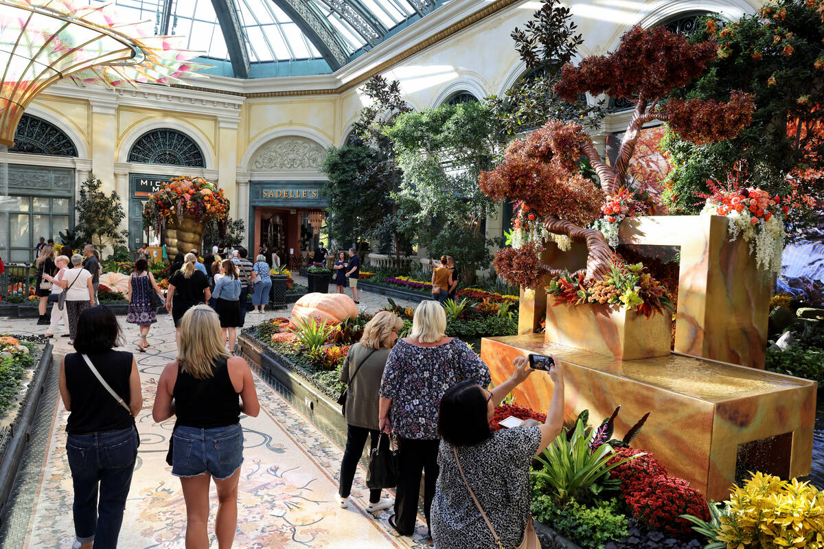 Bellagio Garden fall display ‘artfully’ captures autumn — PHOTOS ...