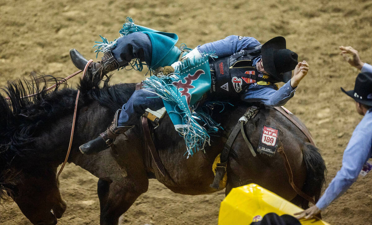 NFR budding star Jess Pope master of winning ‘average’ | National ...