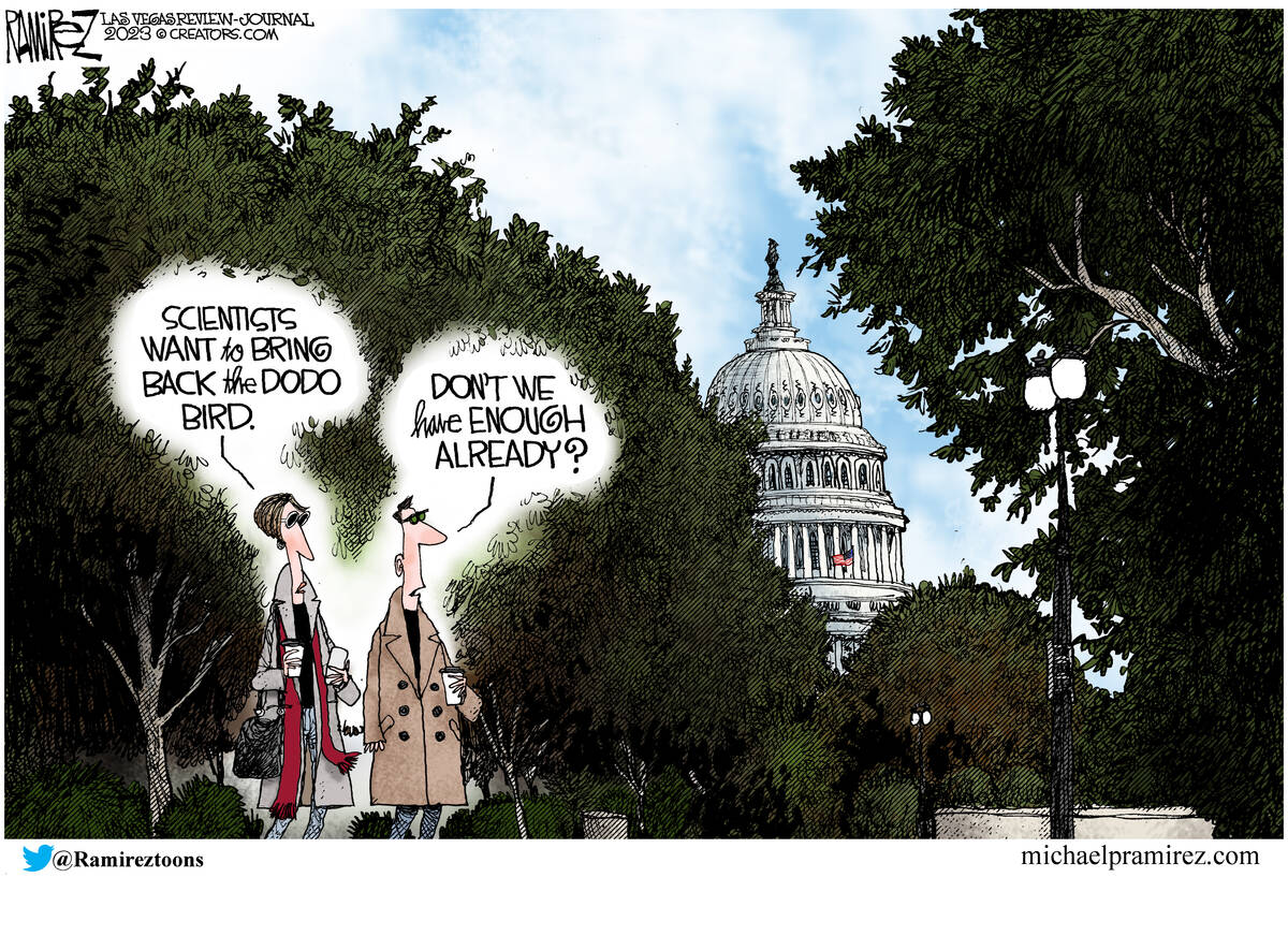 Don’t we have enough of these already? | CARTOON | Michael Ramirez ...