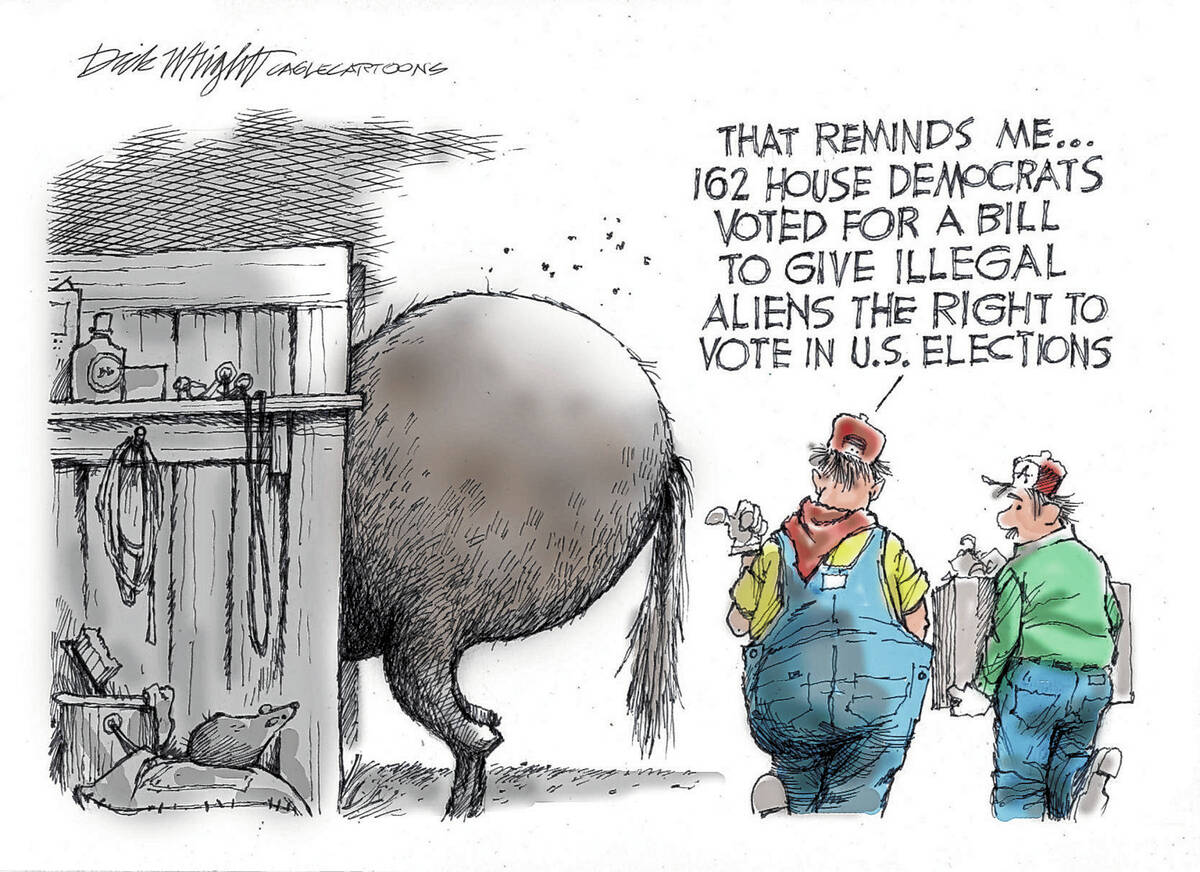 Letting illegal aliens vote brings this to mind | CARTOONS | Drawing ...