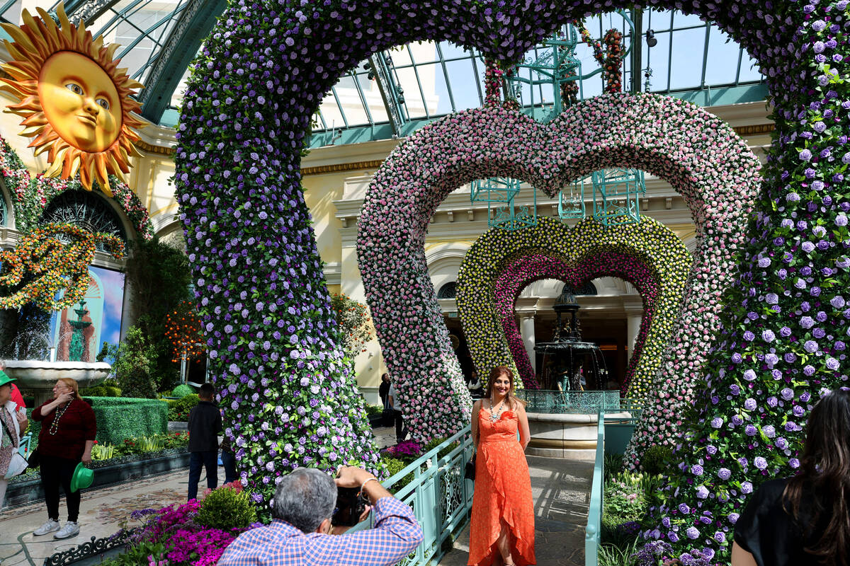 Bellagio Conservatory and Botanical Gardens unveils spring display | The Strip | Local