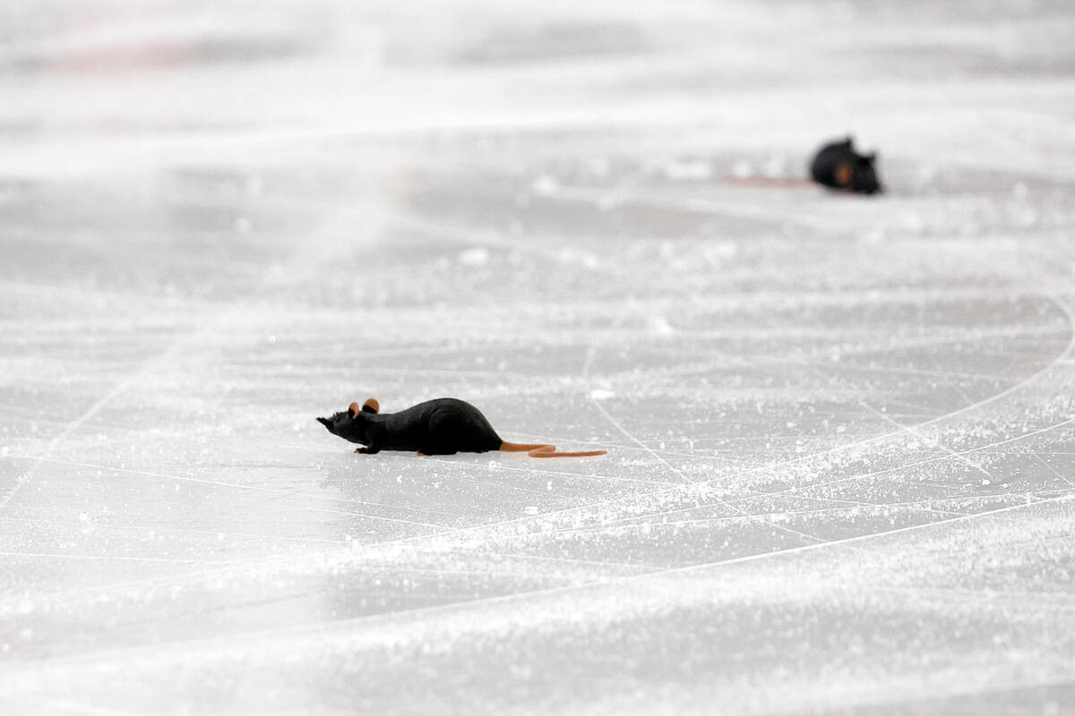Florida Panthers fans throw fake rats on ice in long-standing tradition ...