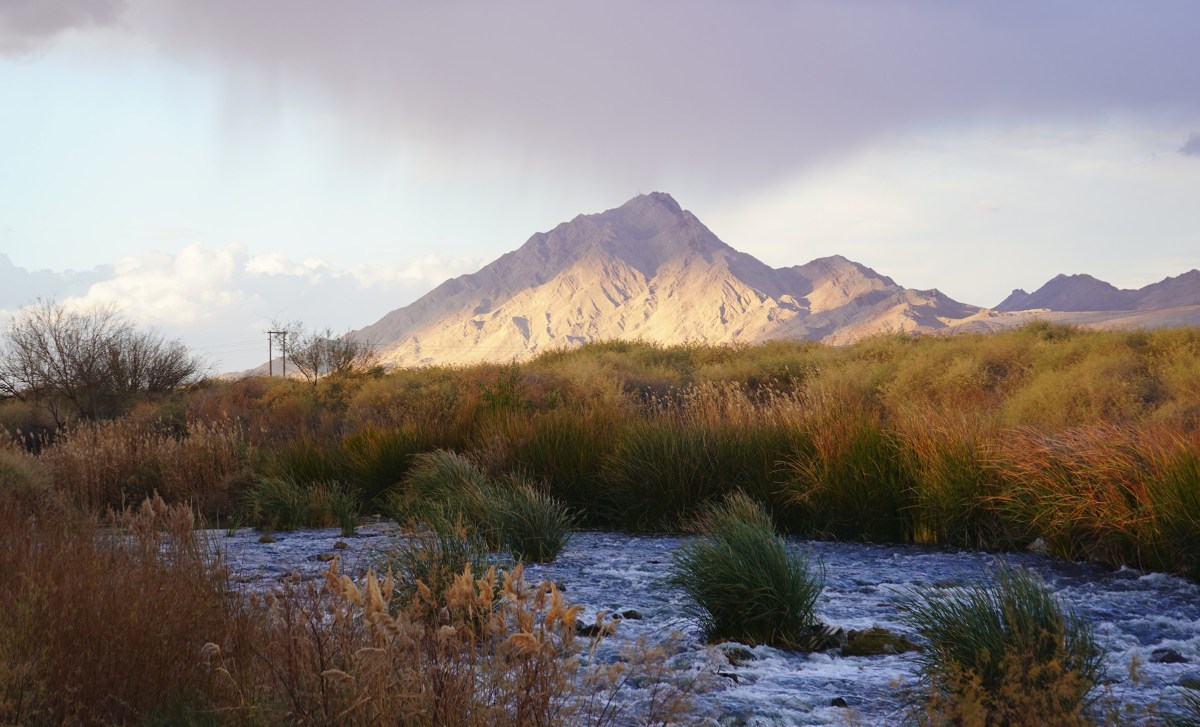 Peter Maheu dies at age 73 of heart attack | Las Vegas Review-Journal