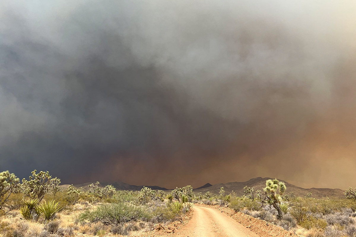 Mojave National Preserve fire enters Nevada | Local Nevada | Local