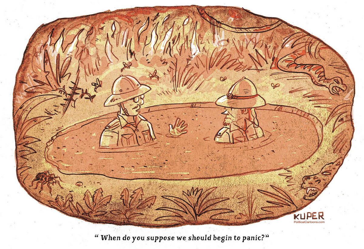 What it takes to run for Congress these days | CARTOONS | Drawing Board ...