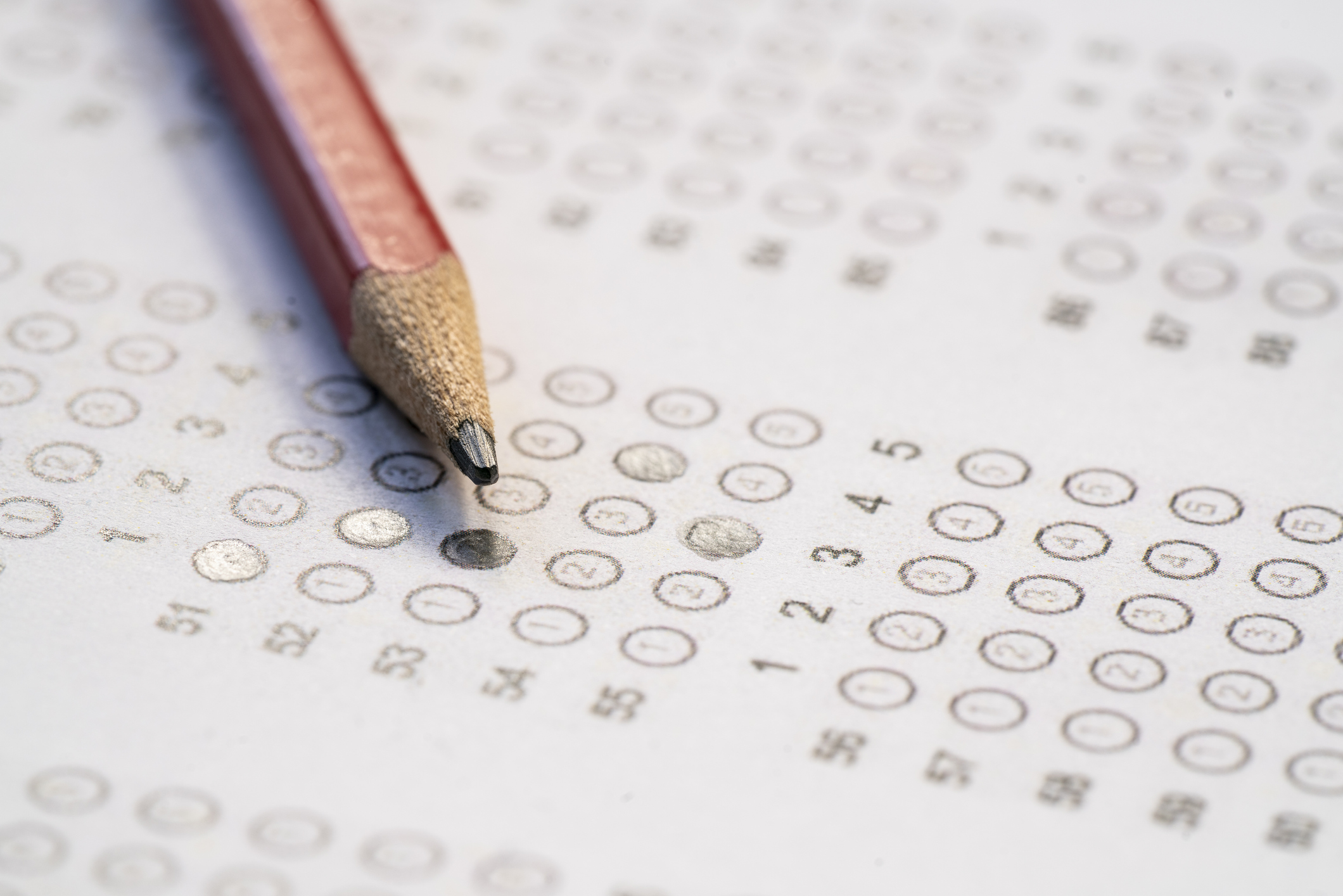 CCSD releases Smarter Balanced standardized test scores | Education | Local