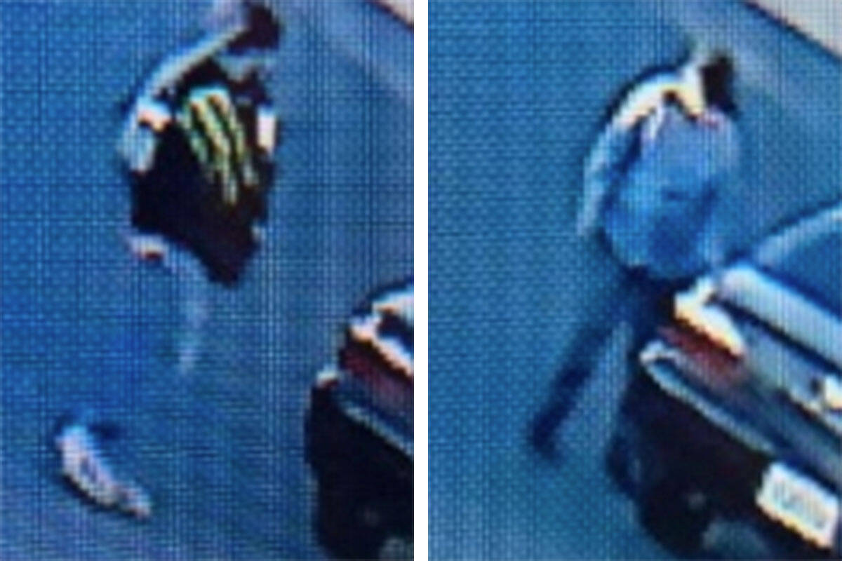 United States Postal Service Letter Carrier Robbery Investigation In