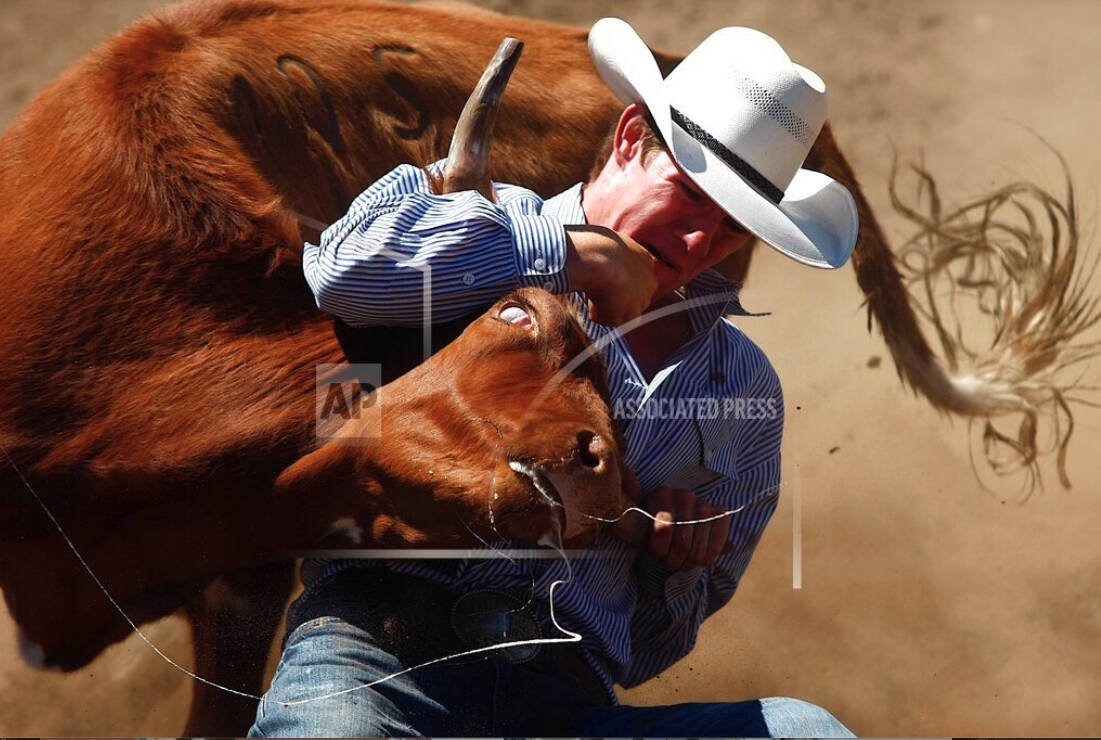 NFR 2023 list of competitors: Standings, breakdown for each event ...