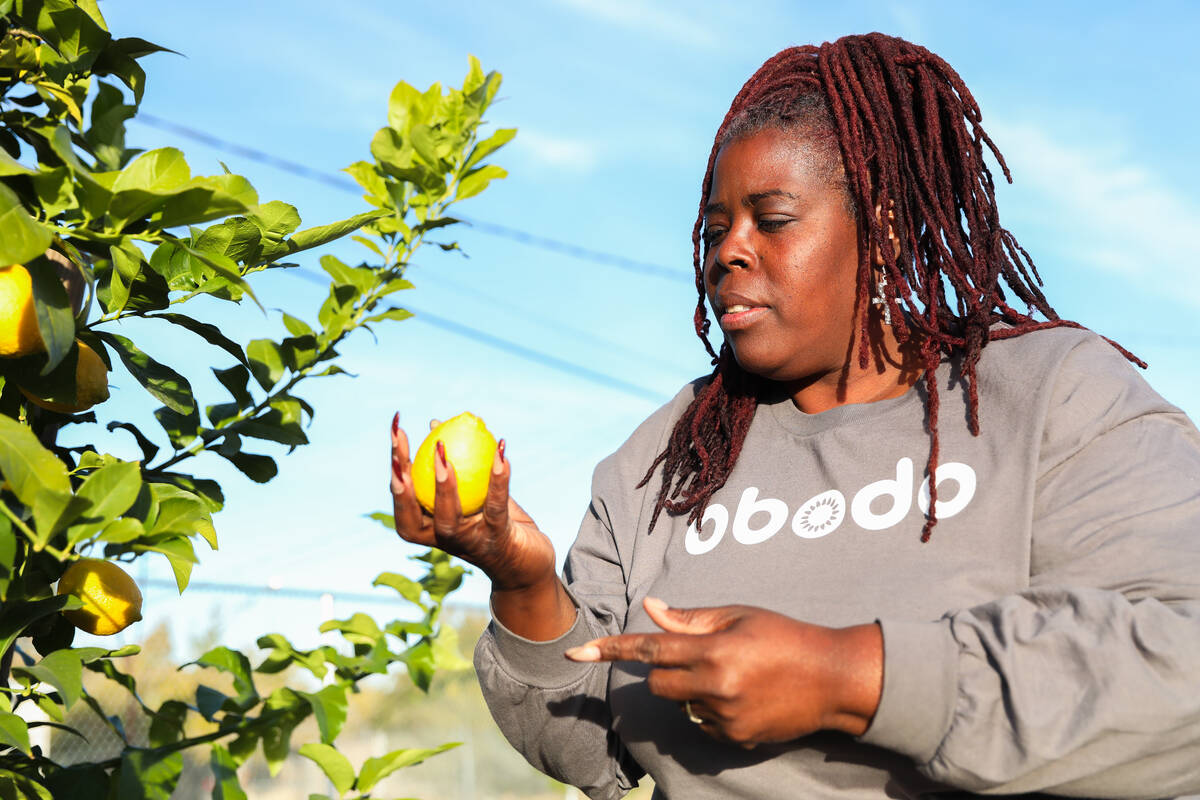Obodo Collective’s urban farm serves Historic Westside community ...