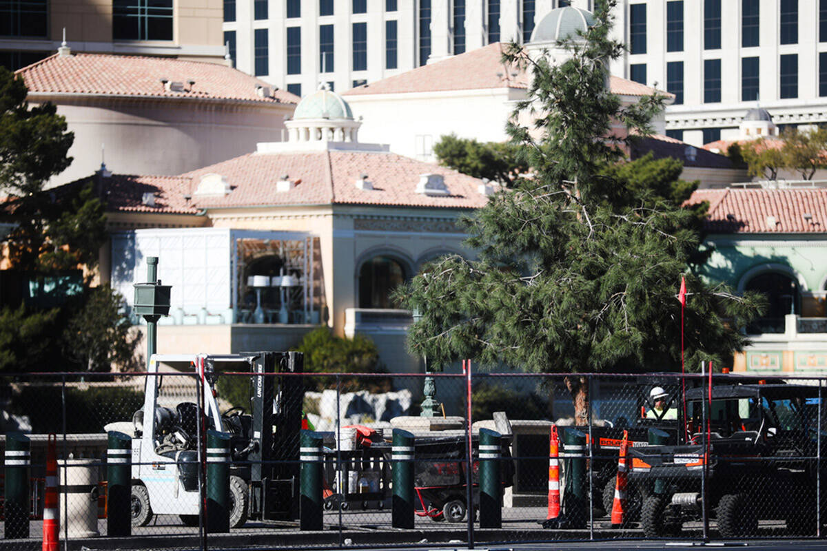 Fountains of Bellagio trees being replaced | The Strip | Local