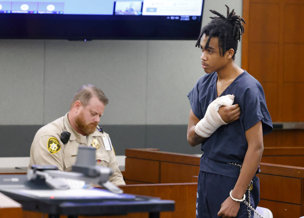 Teen accused of killing bicyclist pleads not guilty in fatal stabbing | Courts | Crime